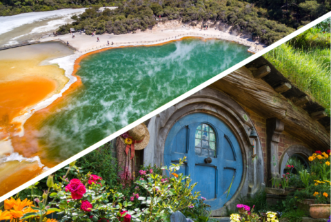 Best Rotorua Tours from Auckland | Cheeky Kiwi Travel