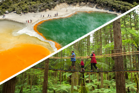 Best Rotorua Tours from Auckland | Cheeky Kiwi Travel